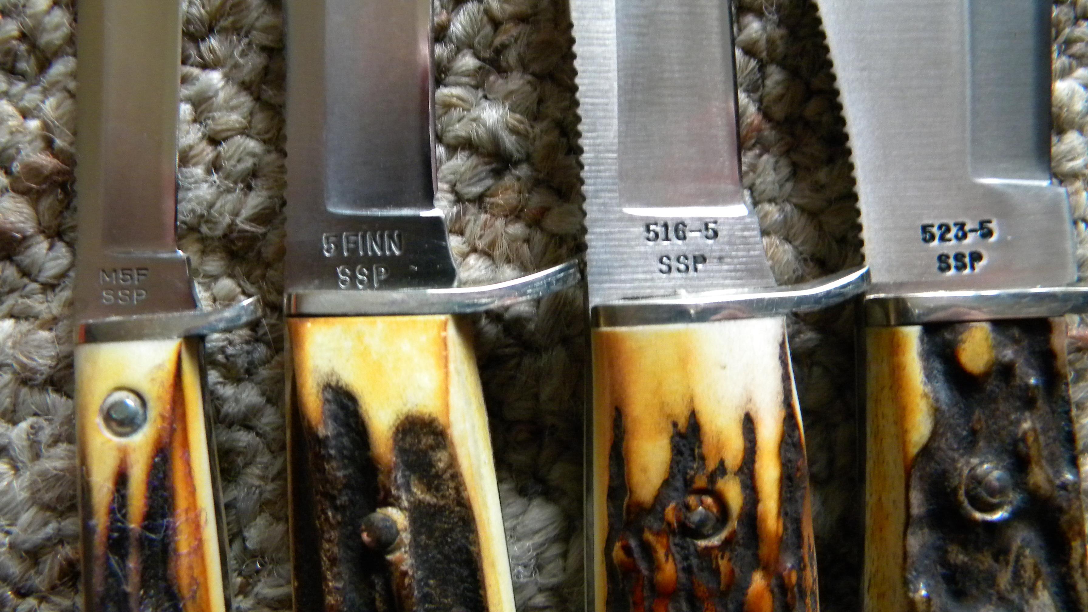 Case XX USA (1977) Stag M5F, 5 FINN, 516-5, 523-5 SSP Blue Scroll Fixed ...