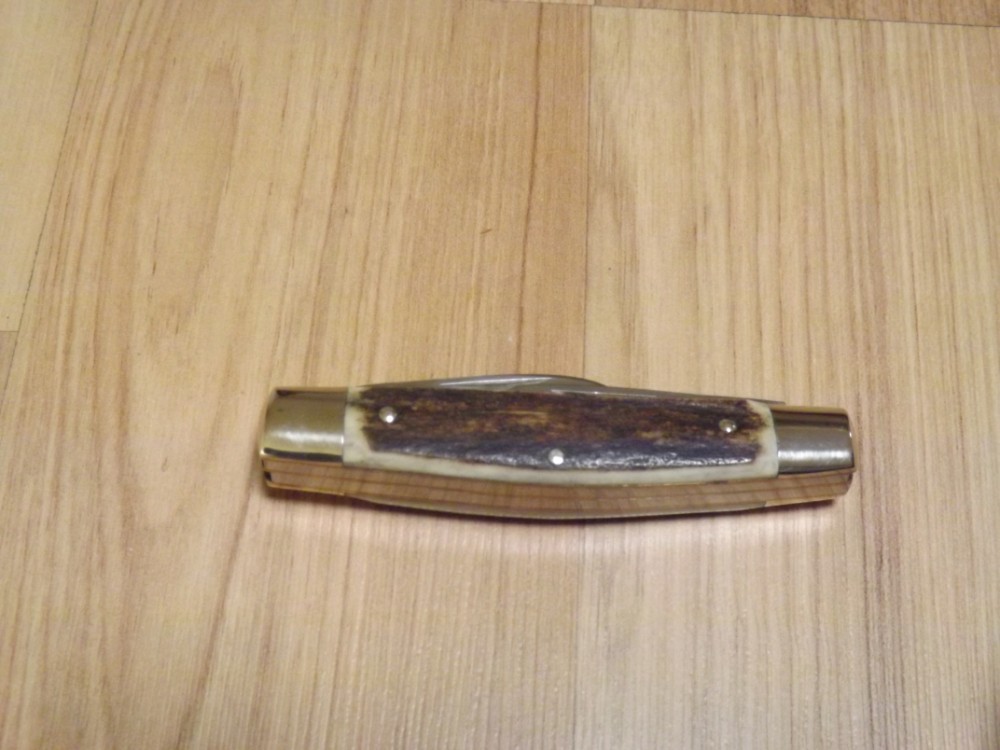 German Eye Stag Medium Stockman