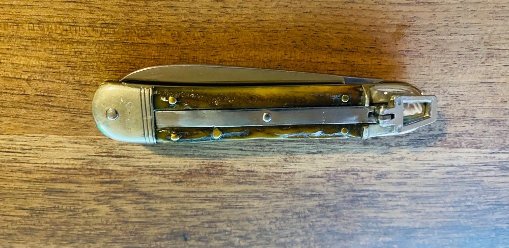 Bonsa Springer