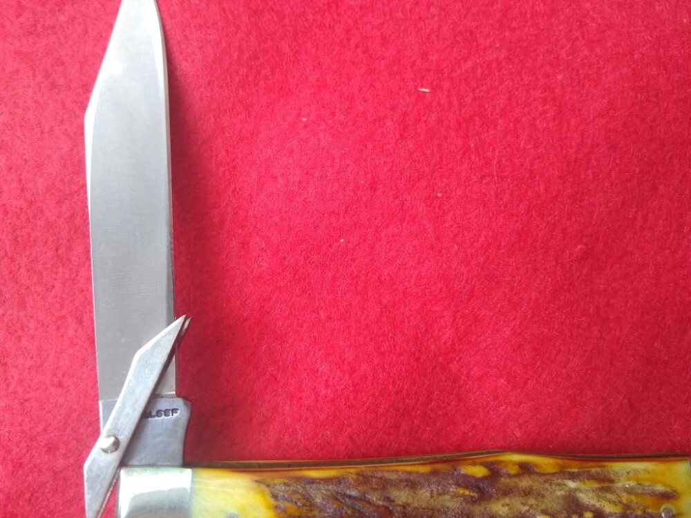 Case Cheetah 5111 1/2L Stag Pocket Knife