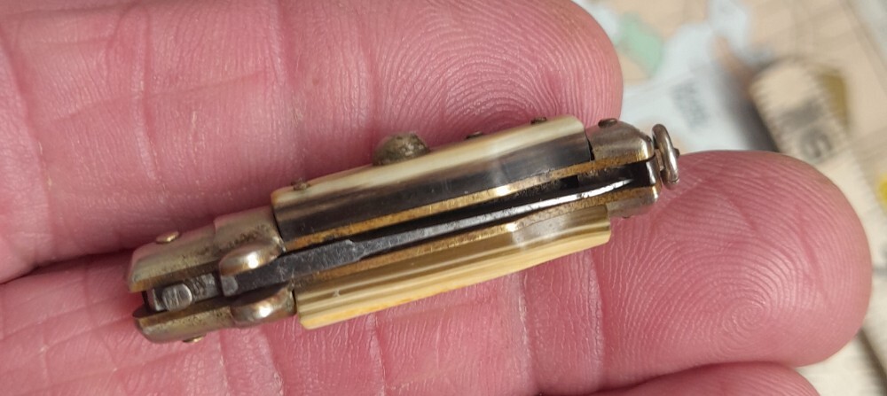 Horn Handle Tiny Small Automatic Switchblade Knife INOX
