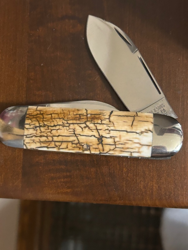 Case Classic Mastodon Bark Ivory Elephant Toe Sunfish Proto