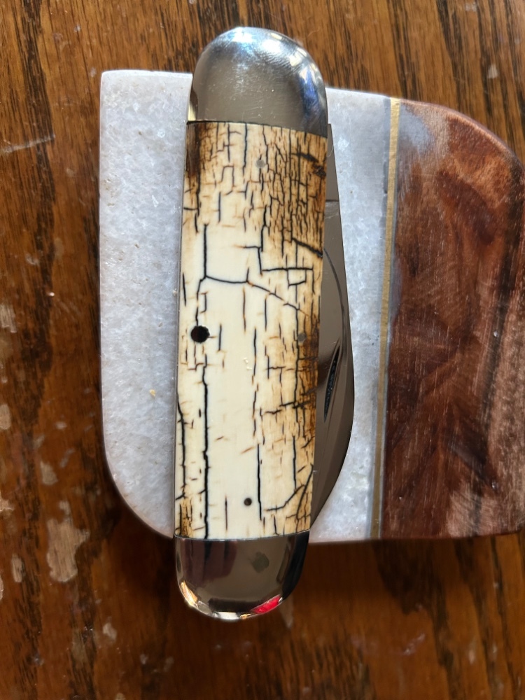 Case Classic Mastodon Bark Ivory Elephant Toe Sunfish Proto