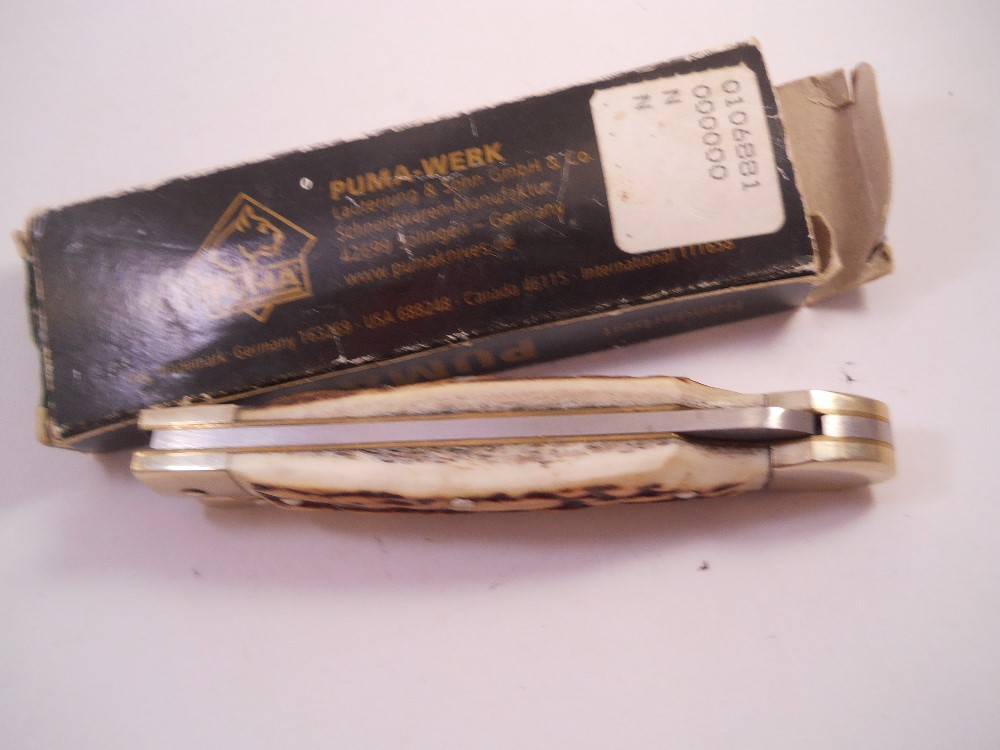 German Puma Stag Cheetah like Lockback Knife 210563