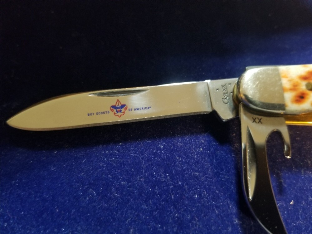 Case XX Junior Scout Camping Pocket Knife Beautiful Bone New Jr Scout BSA