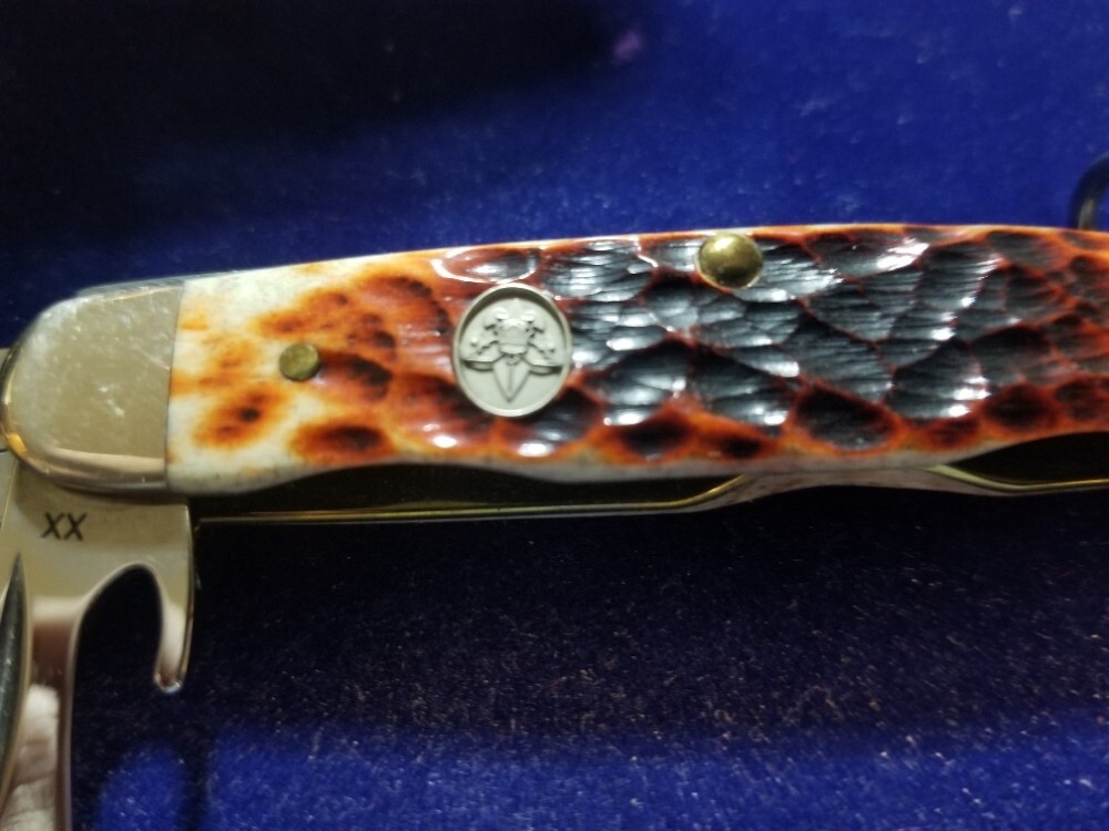 Case XX Junior Scout Camping Pocket Knife Beautiful Bone New Jr Scout BSA