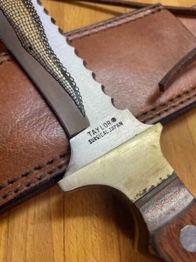 Vintage TAYLOR Japan Safari Alligator hunting knife with saw back