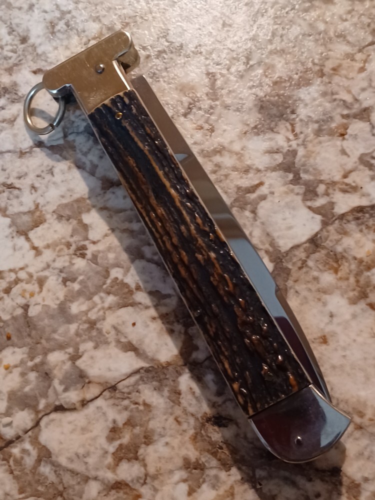 11" AGA Campolin Francese Stag Horn.
