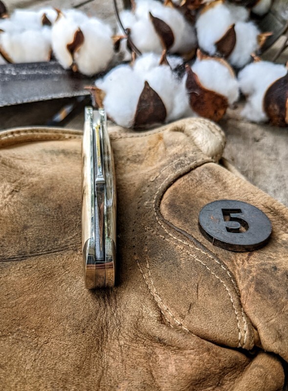 TITUSVILLE CUTLERY-Big Easy Cotton Knife-Mammoth Bark Ivory Handles-5 ...