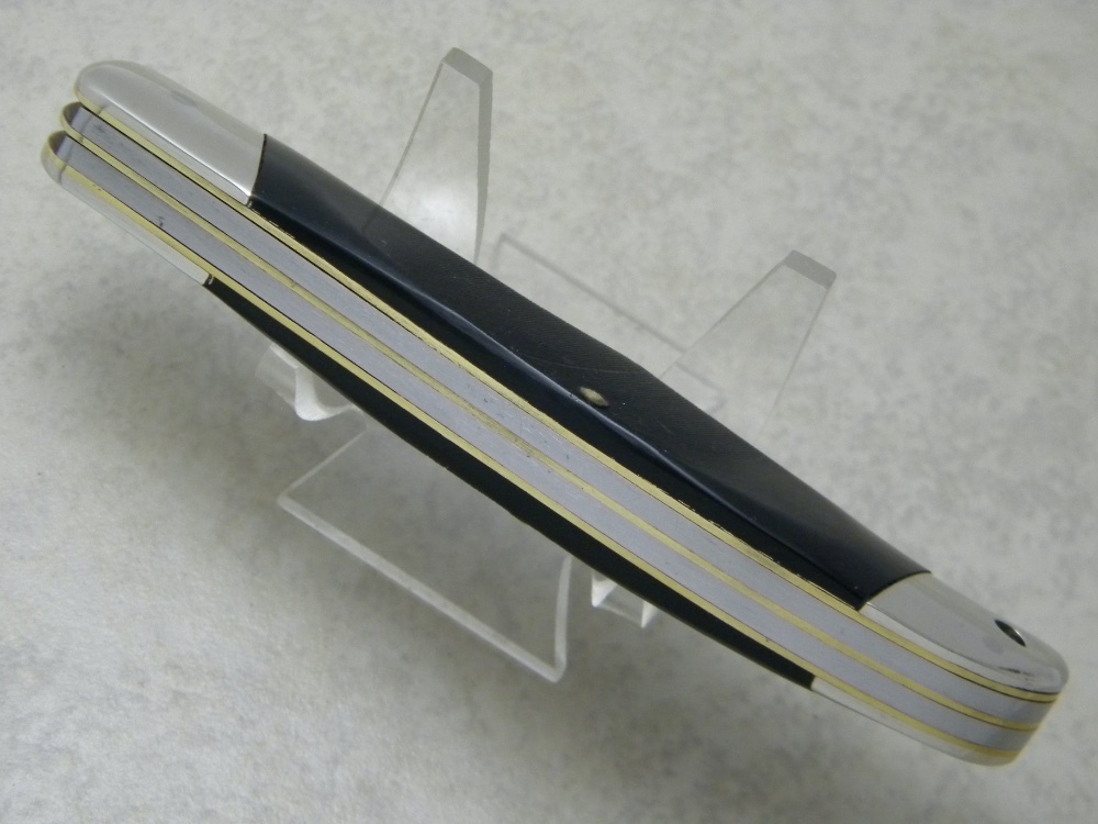 Buck 317 USA Black Saw Cut Delrin Trailblazer Folding Hunter Knife c ...