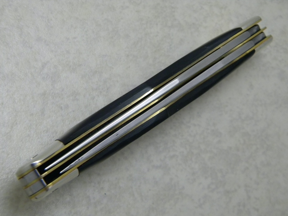 Buck 317 USA Black Saw Cut Delrin Trailblazer Folding Hunter Knife c ...