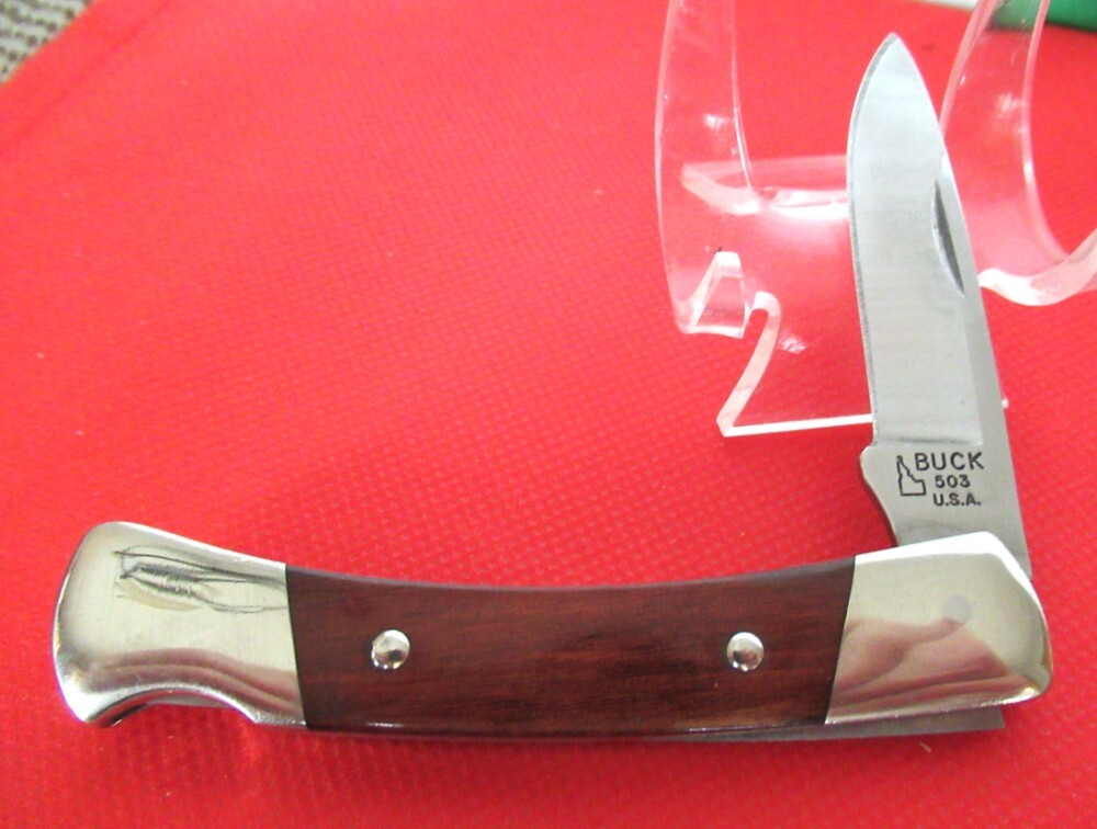 Buck Prince Model #503