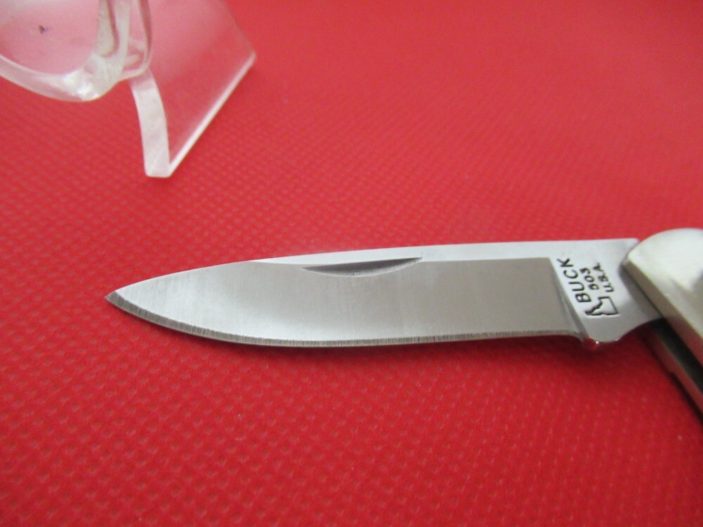 Buck Prince Model #503