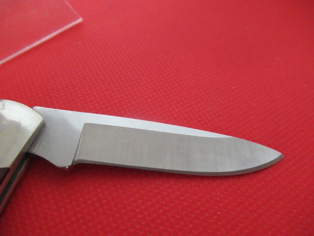 Buck Prince Model #503