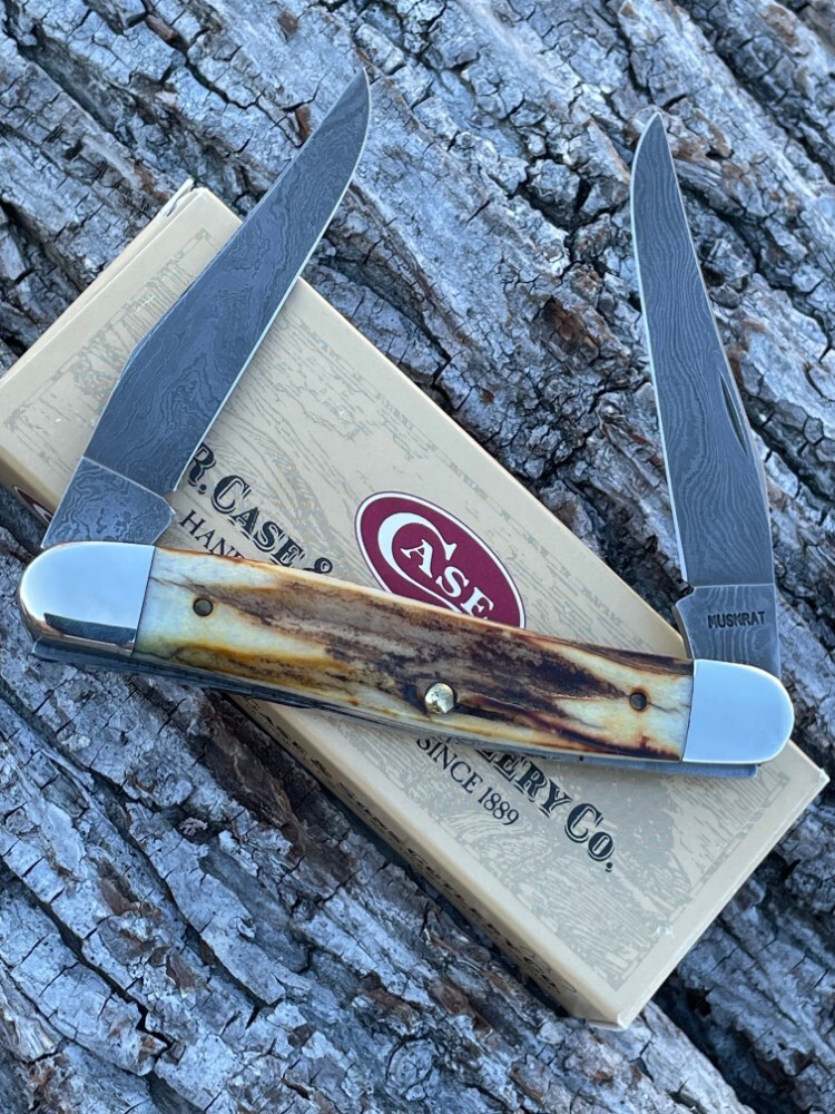 CASE XX ** 2010 STAG DAMASCUS MUSKRAT