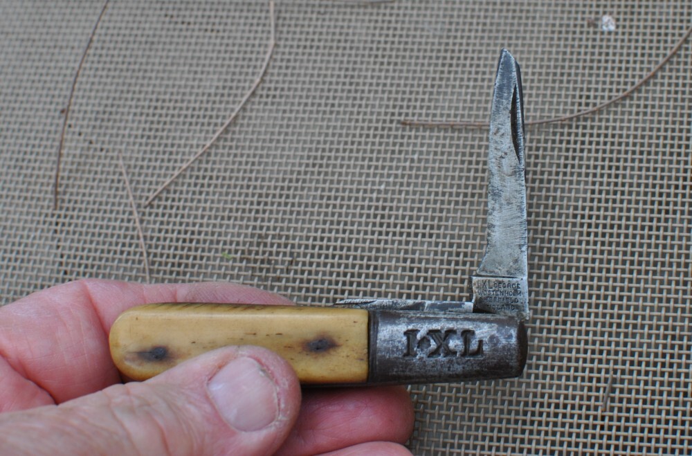 IXL Smooth Bone All Iron Hardware 3 3/8" Closed Itty Bitty Blade Great ...