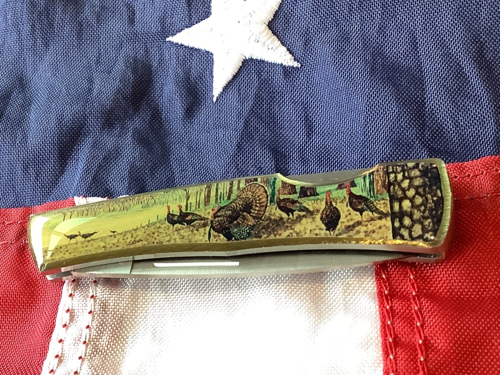 Case xx 1984 Medium Lockback (mdl# 059L SS) w/ Turkey Stroling in the ...