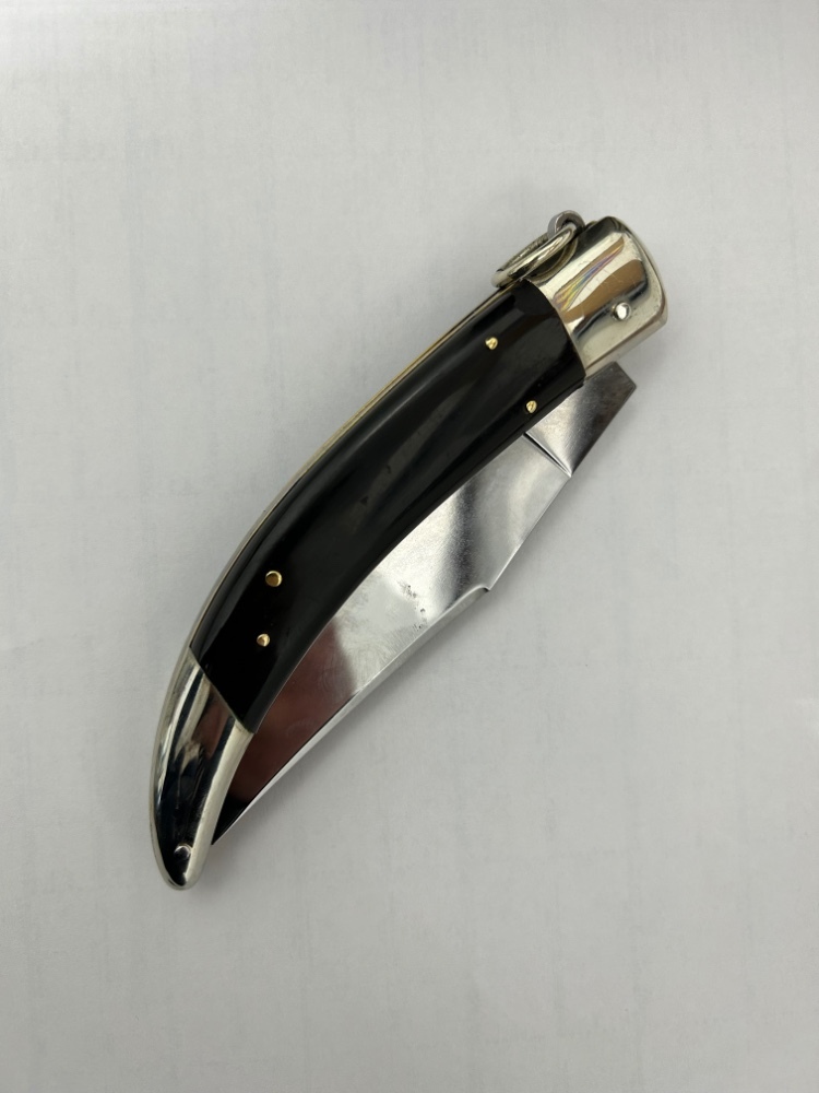 10" Campolin Catalana