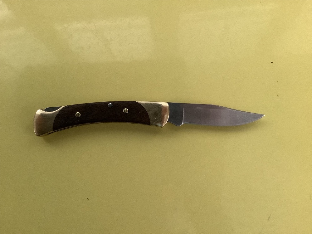 Buck USA 055 Folding Lockback Knife