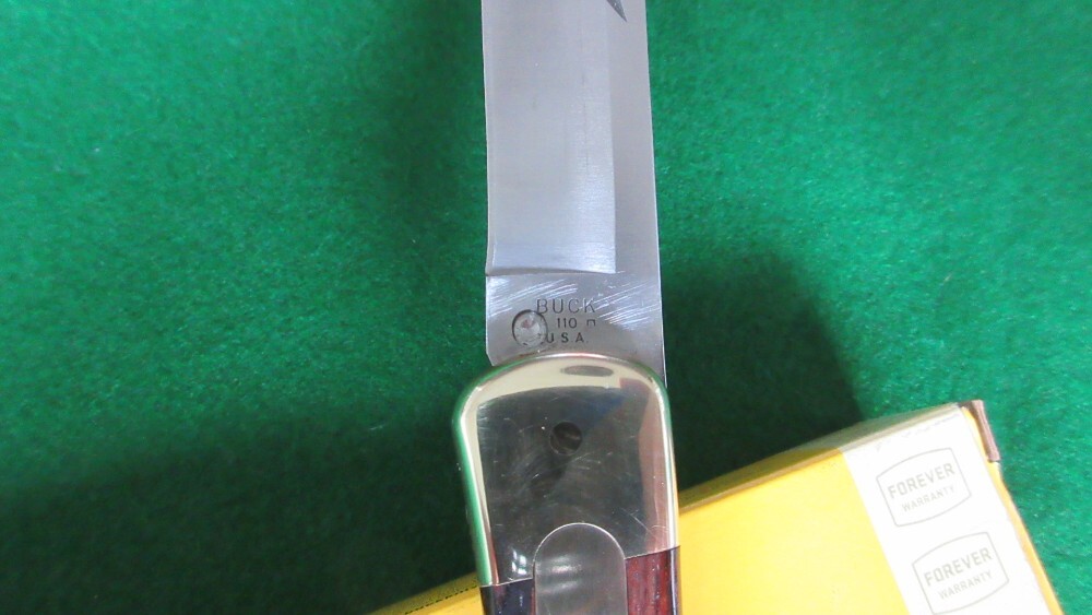 2001 BUCK 110 AUTO Conversion Single Action