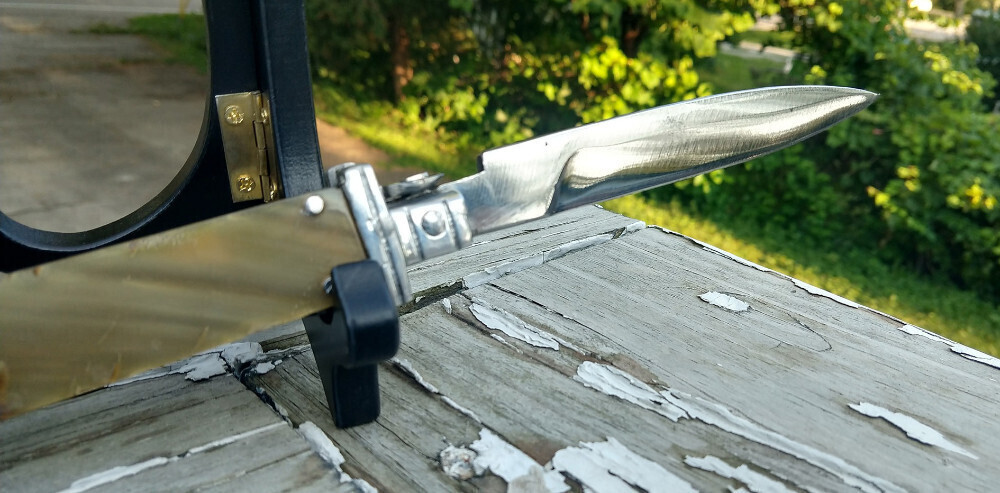 Beautiful Mexican Picklock