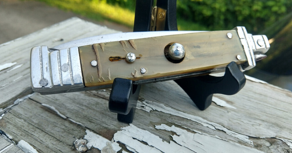 Beautiful Mexican Picklock