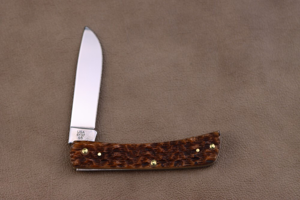 CASE XX AMBER BONE SOD BUSTER JR 6137SS 2025